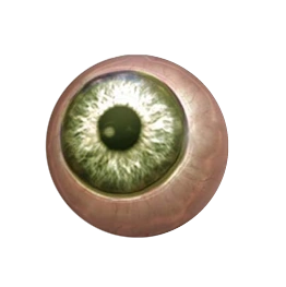 Eye of Vecna | Forgotten Realms Wiki | Fandom