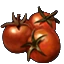 Tomato | Forgotten Realms Wiki | Fandom