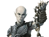 Category:Elves | Forgotten Realms Wiki | Fandom