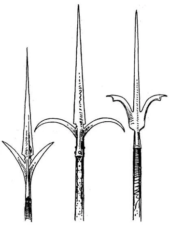 Ranseur | Forgotten Realms Wiki | Fandom