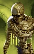 Mummy | Forgotten Realms Wiki | Fandom