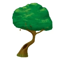 Rillifane Rallathil | Forgotten Realms Wiki | Fandom