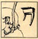 Earblade | Forgotten Realms Wiki | Fandom