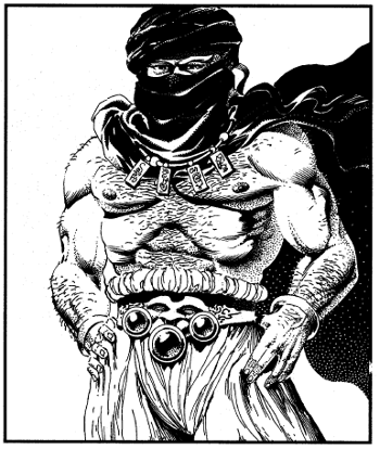 Janni | Forgotten Realms Wiki | Fandom