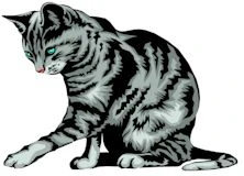 Silky | Forgotten Realms Wiki | Fandom