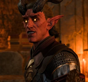 Zevlor | Forgotten Realms Wiki | Fandom