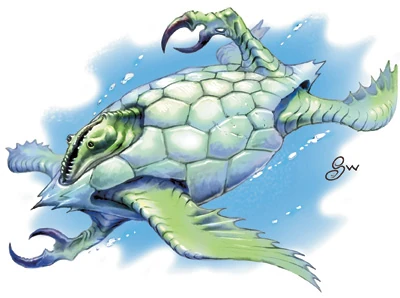 Tojanida | Forgotten Realms Wiki | Fandom