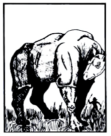 Baluchitherium | Forgotten Realms Wiki | Fandom