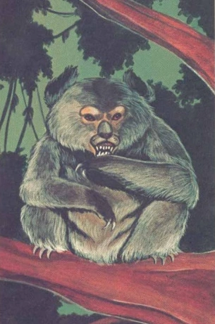 Zorbo | Forgotten Realms Wiki | Fandom