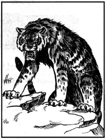Snow tiger | Forgotten Realms Wiki | Fandom