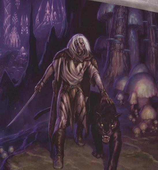 Forgotten Maps: Faerun and Sword Coast Maps for DnD 5e