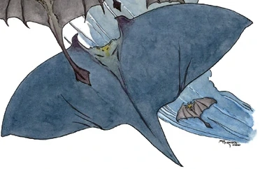 Sinister | Forgotten Realms Wiki | Fandom