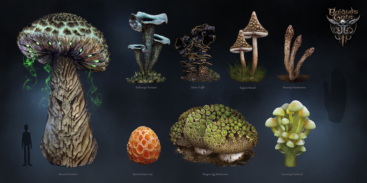 Fungus | Forgotten Realms Wiki | Fandom