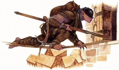 Thief-acrobat | Forgotten Realms Wiki | Fandom