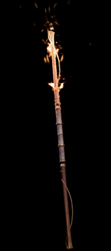 Gold wyrmling staff | Forgotten Realms Wiki | Fandom