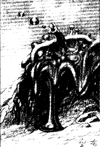 Phycomid | Forgotten Realms Wiki | Fandom