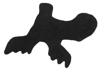 Slow shadow | Forgotten Realms Wiki | Fandom