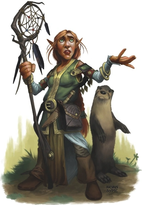 Otter | Forgotten Realms Wiki | Fandom
