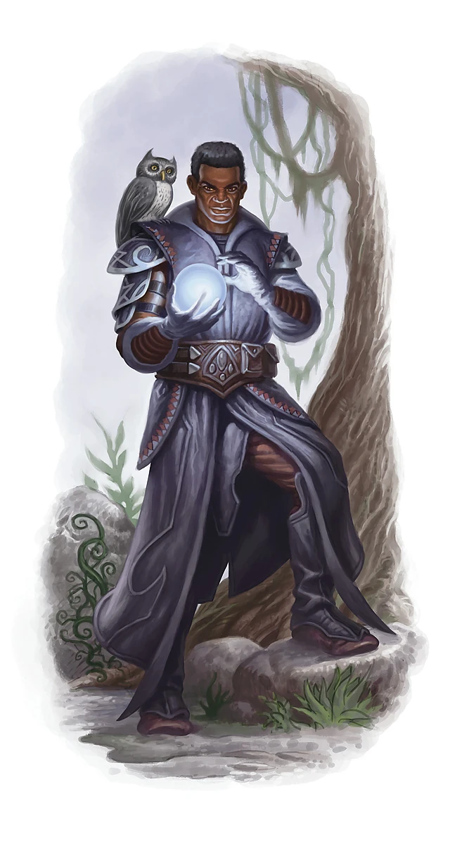 Witch | Forgotten Realms Wiki | Fandom