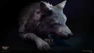 Wolf | Forgotten Realms Wiki | Fandom