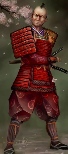 Samurai | Forgotten Realms Wiki | Fandom