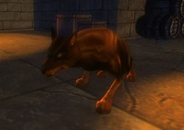 Bastion (dog) | Forgotten Realms Wiki | Fandom
