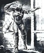 Mummy | Forgotten Realms Wiki | Fandom