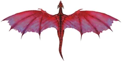 Red dragon | Forgotten Realms Wiki | Fandom