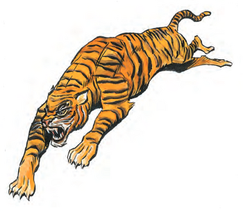 Tiger | Forgotten Realms Wiki | Fandom