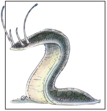 Giant slug | Forgotten Realms Wiki | Fandom