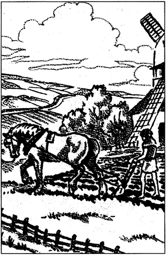 Juniril | Forgotten Realms Wiki | Fandom