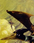 Saurial | Forgotten Realms Wiki | Fandom