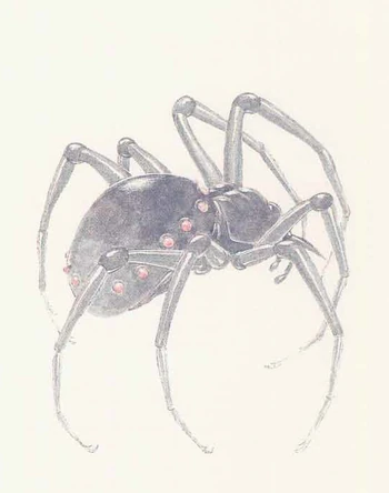 Wraith spider | Forgotten Realms Wiki | Fandom