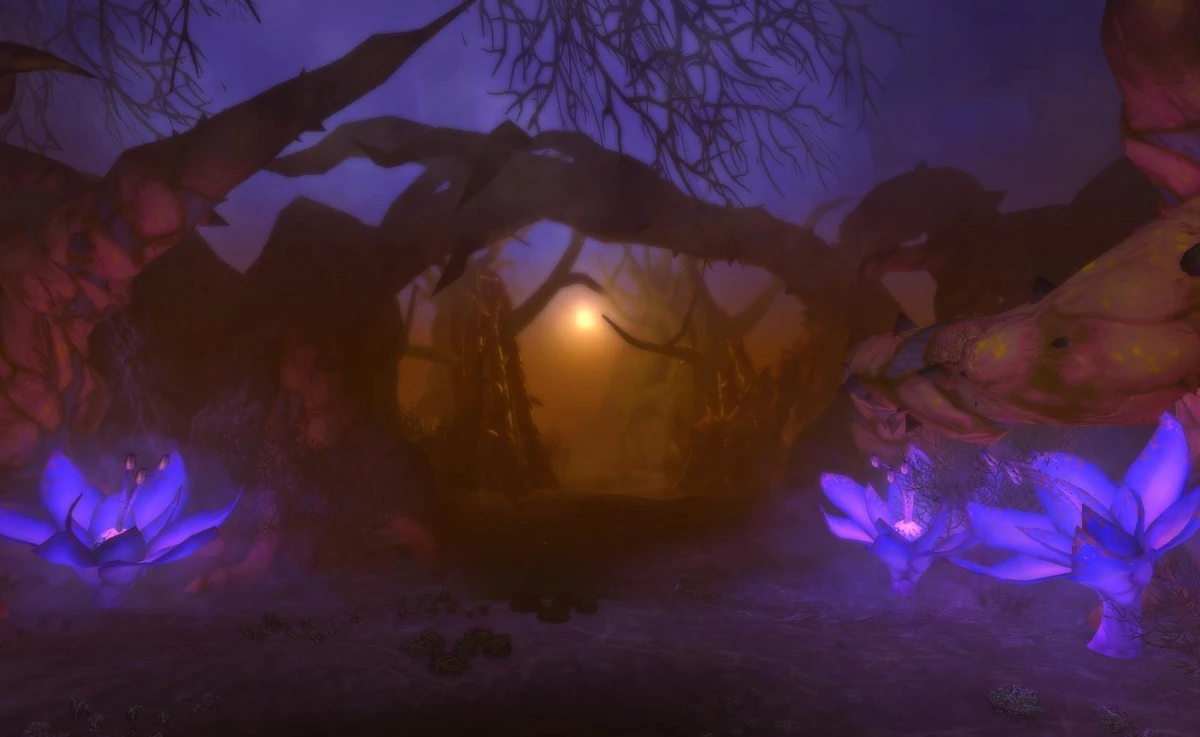 Gnarlroot Cave | Forgotten Realms Wiki | Fandom