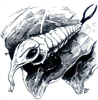 Burbur | Forgotten Realms Wiki | Fandom