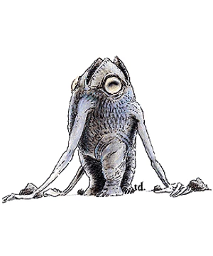 Xorn | Forgotten Realms Wiki | Fandom