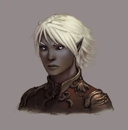 Drow | Forgotten Realms Wiki | Fandom