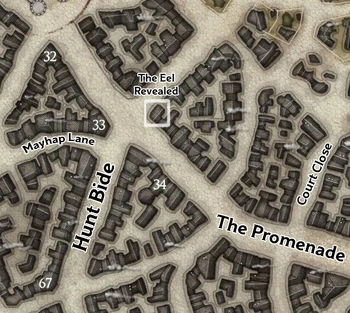 Eel Revealed | Forgotten Realms Wiki | Fandom