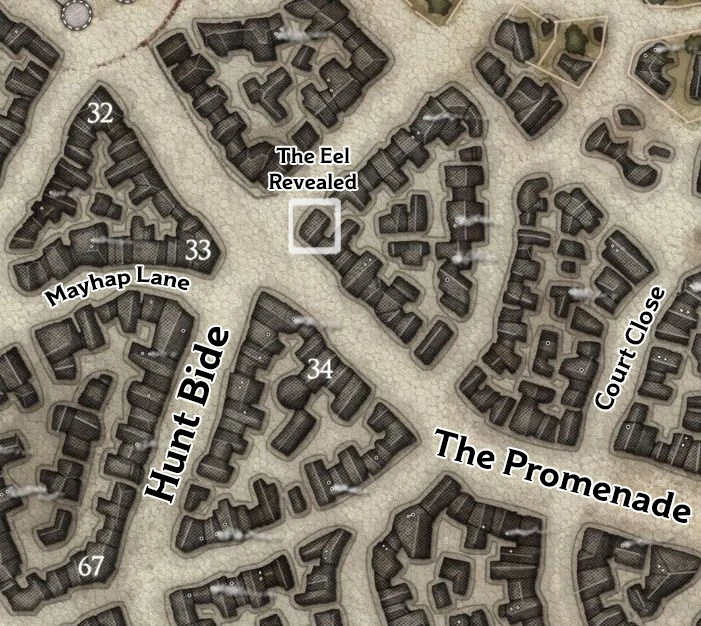 Eel Revealed | Forgotten Realms Wiki | Fandom