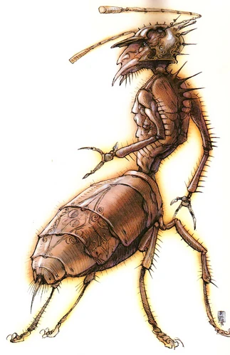 Formian | Forgotten Realms Wiki | Fandom