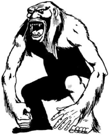 Taer | Forgotten Realms Wiki | Fandom
