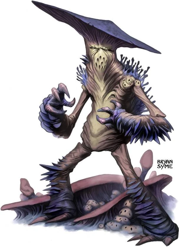 Basidia | Forgotten Realms Wiki | Fandom