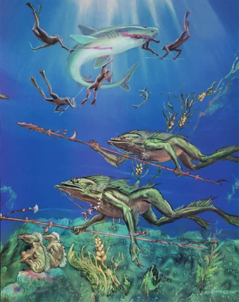 Locathah | Forgotten Realms Wiki | Fandom