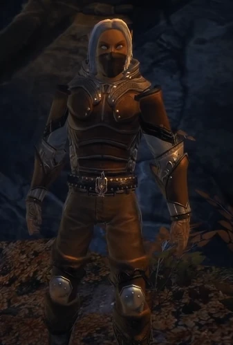 Neverwinter's Rangers | Forgotten Realms Wiki | Fandom