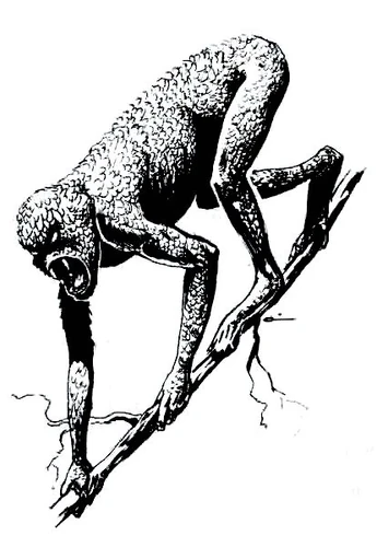 Kech | Forgotten Realms Wiki | Fandom