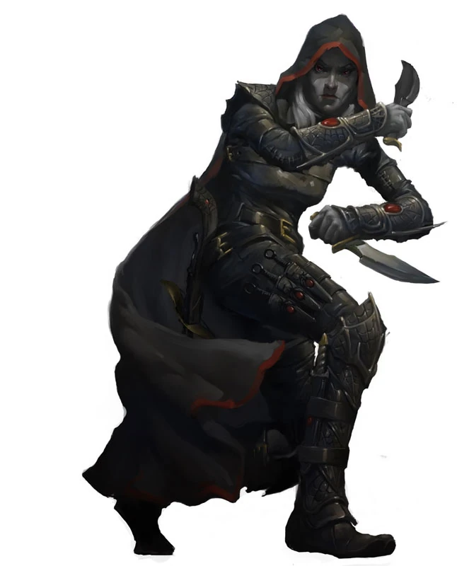Rogue | Forgotten Realms Wiki | Fandom