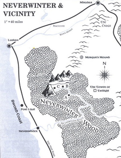 Neverwinter Wood | Forgotten Realms Wiki | Fandom