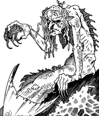 Sea hag | Forgotten Realms Wiki | Fandom