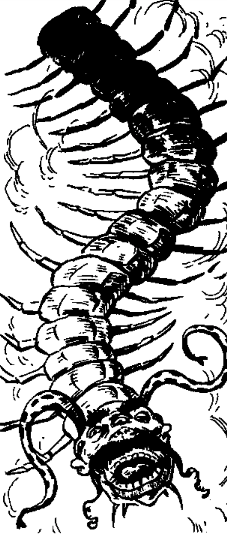 Spirit centipede | Forgotten Realms Wiki | Fandom