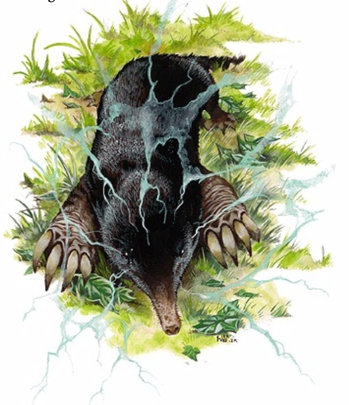 Brain mole | Forgotten Realms Wiki | Fandom